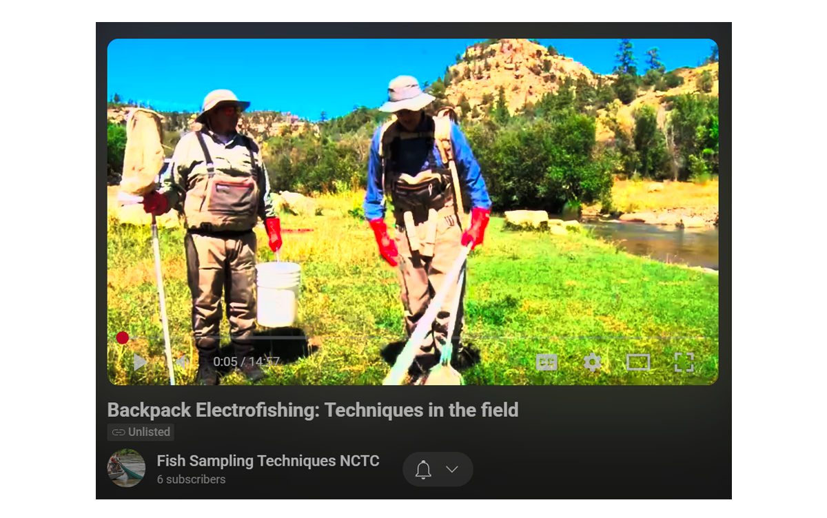 Backpack Electrofishing: Techniques in the Field | FWS.gov