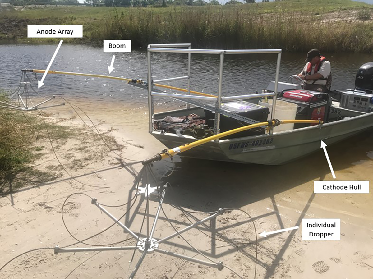 Boat electrofisher with two boom dropper anodes and the hull wired as ...