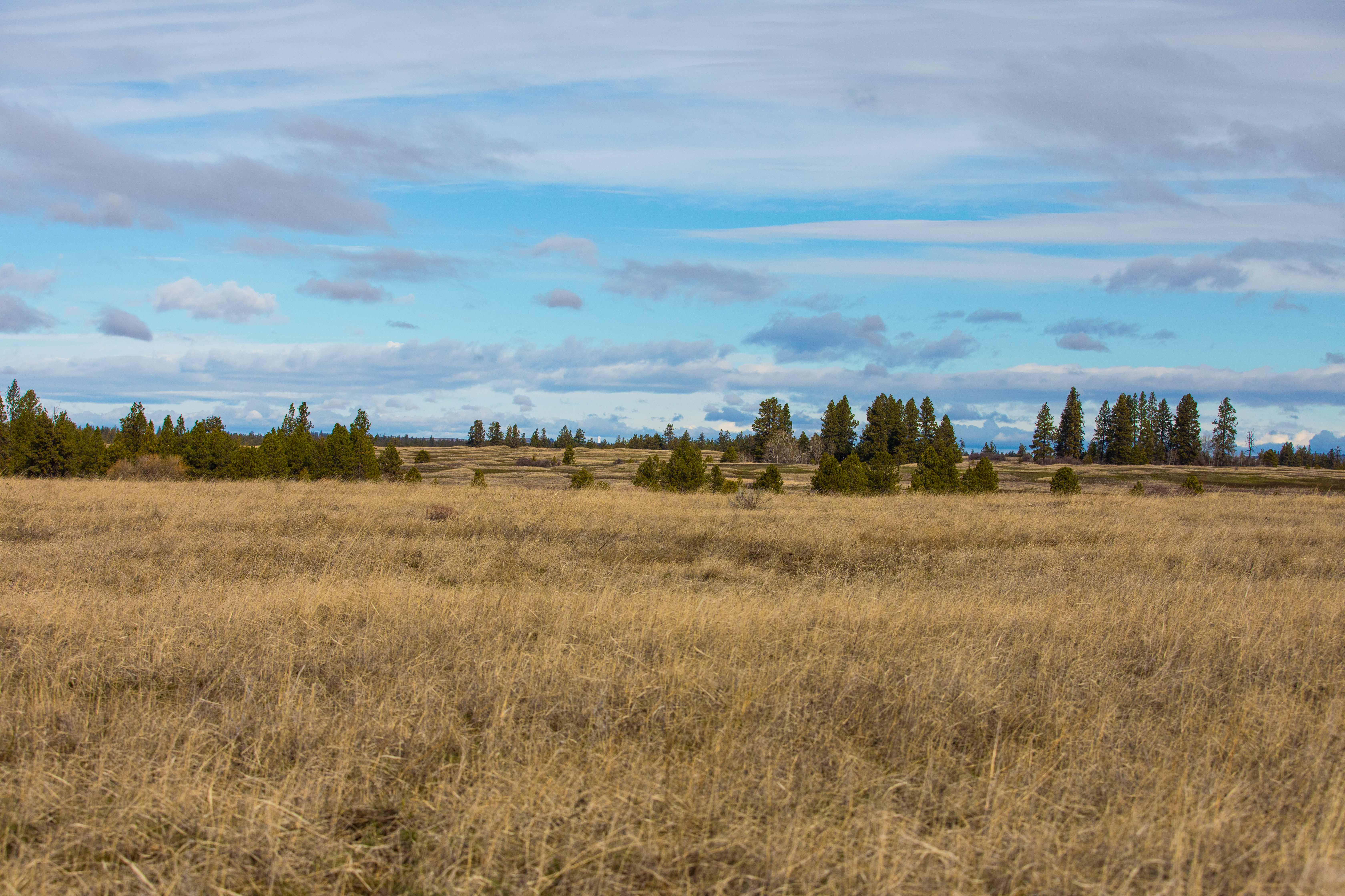 Turnbull NWR - Palouse Prairie and Mima Mounds as Seen from ...