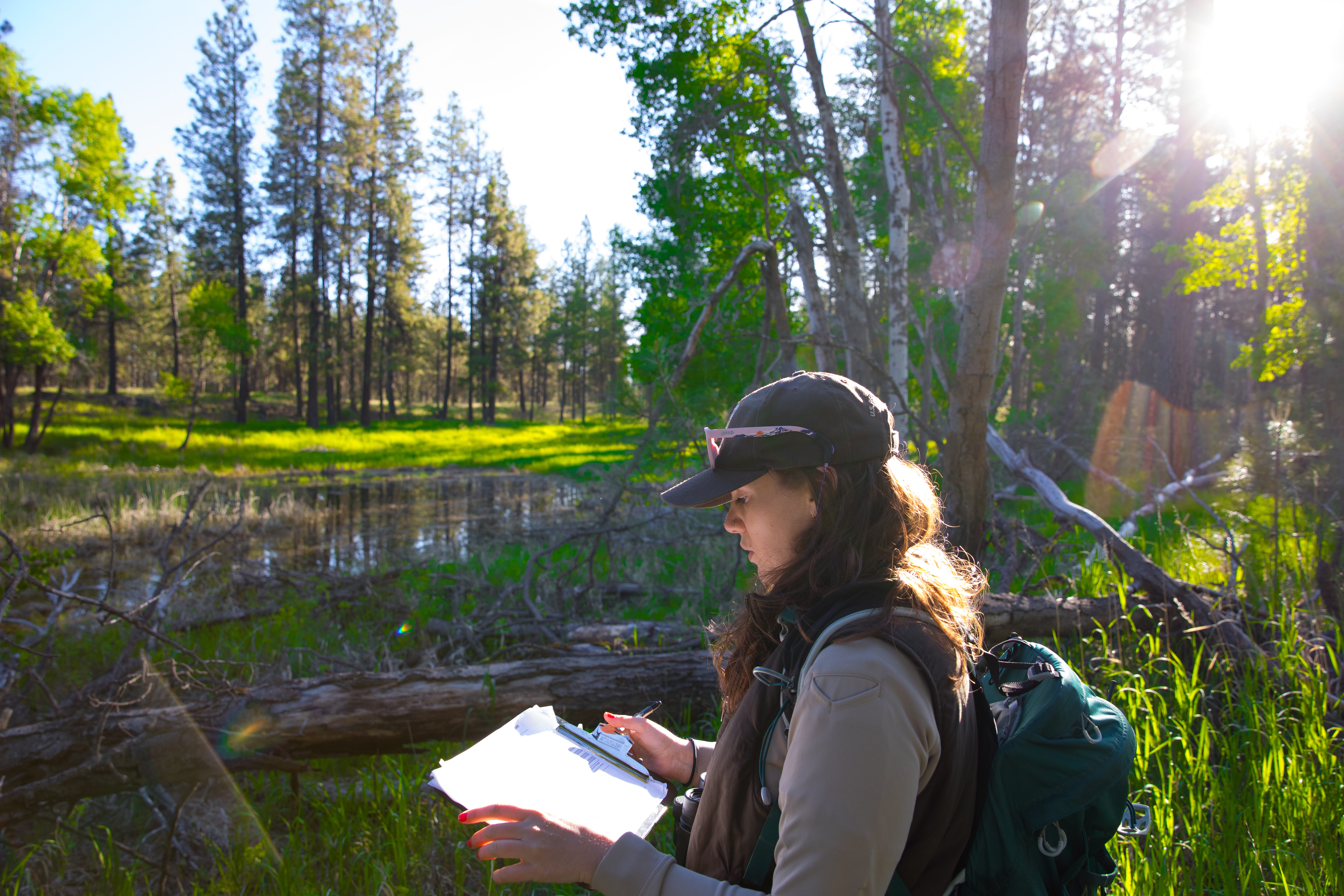 Turnbull NWR - Waterfowl Surveys | FWS.gov