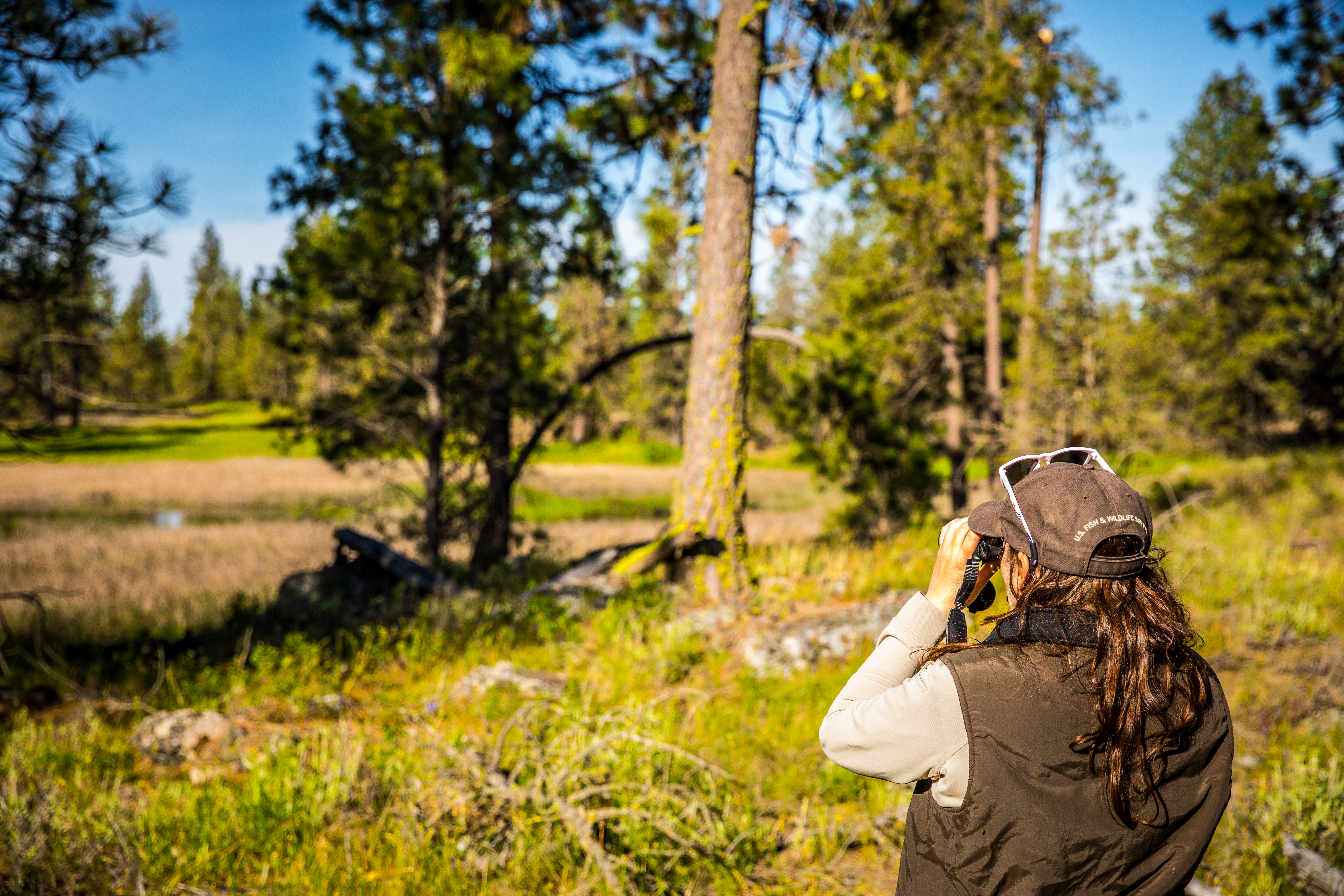 Turnbull NWR - Waterfowl Surveys | FWS.gov