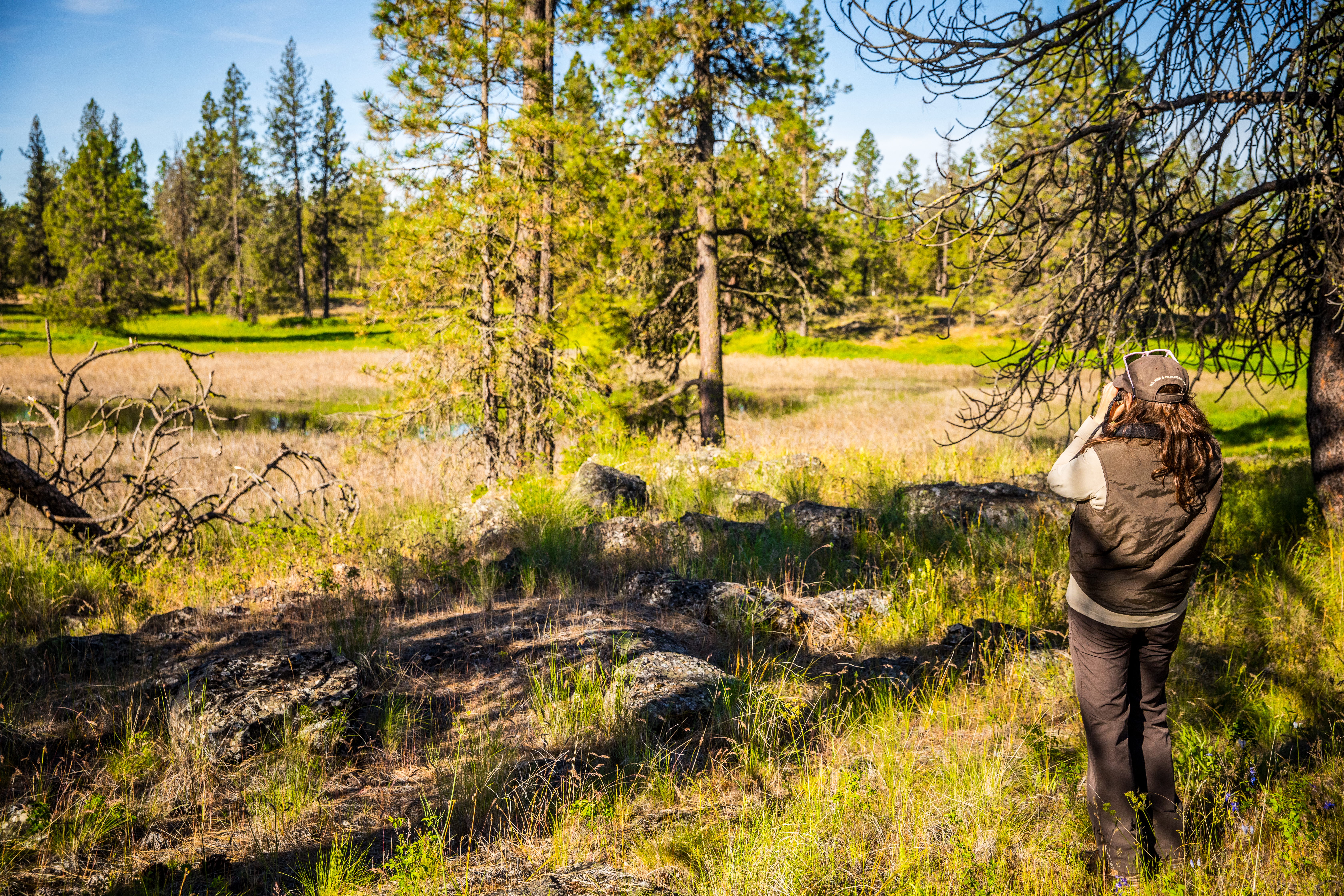 Turnbull NWR - Waterfowl Surveys | FWS.gov