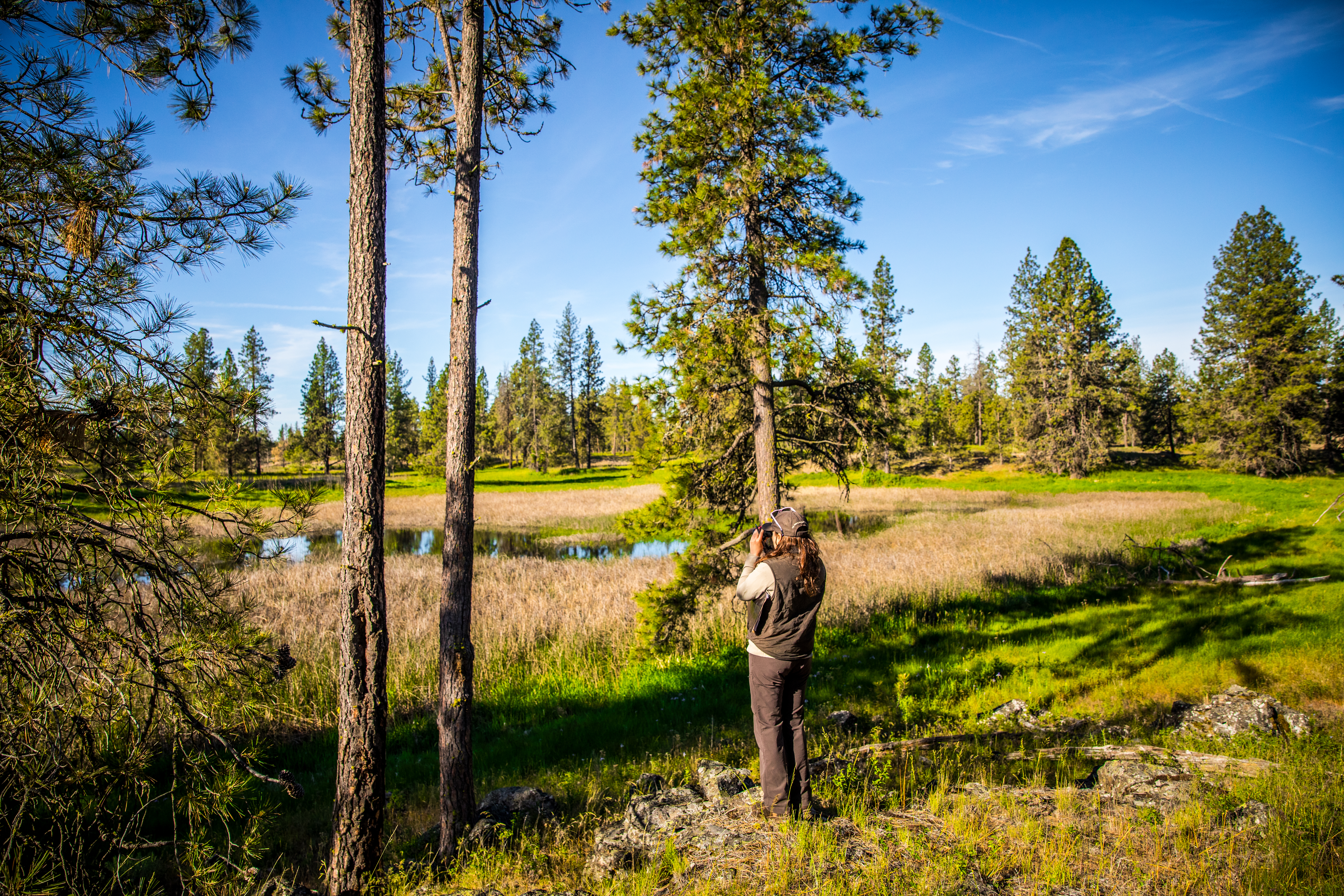 Turnbull NWR - Waterfowl Surveys | FWS.gov
