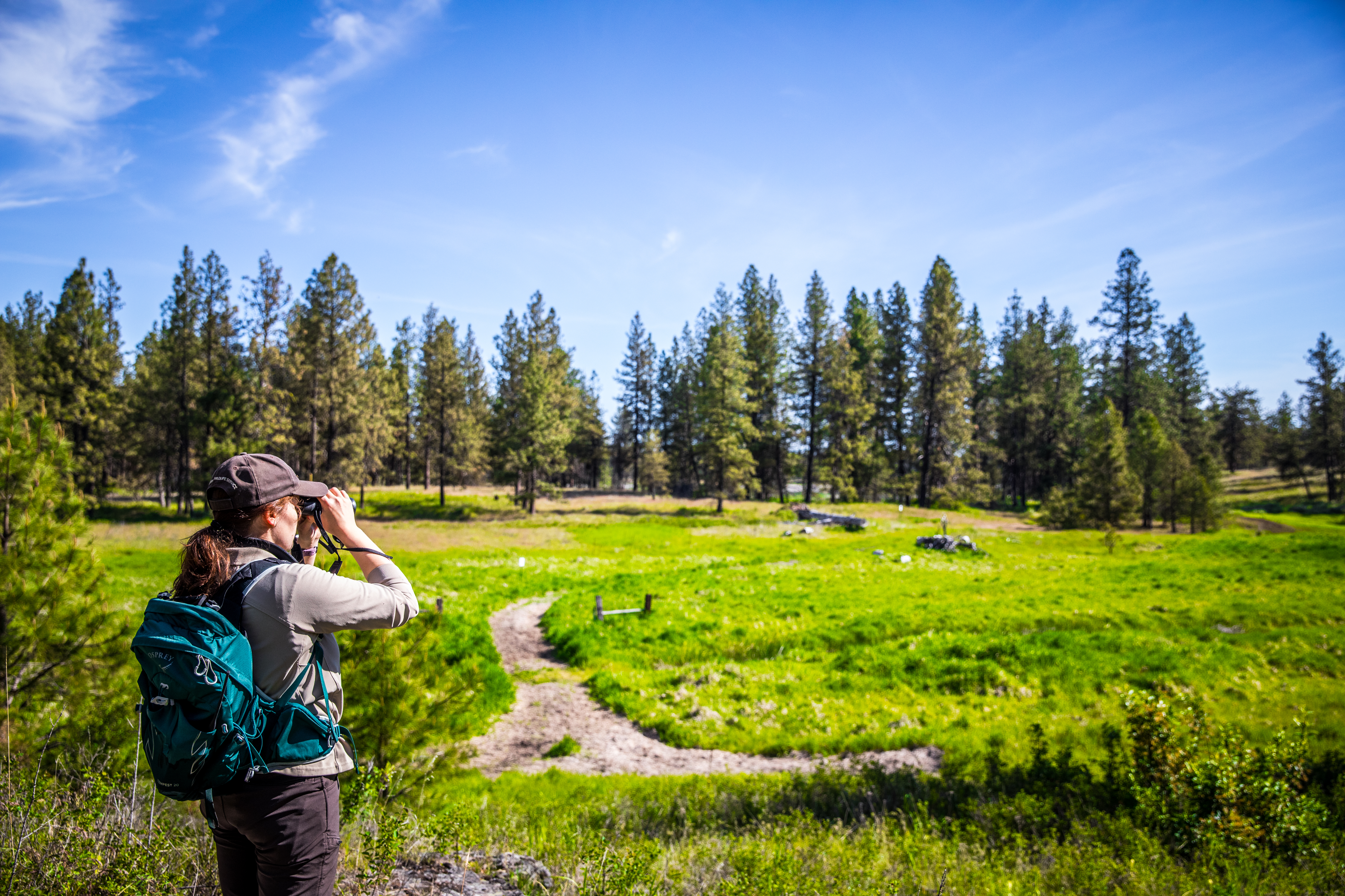 Turnbull NWR - Waterfowl Surveys | FWS.gov