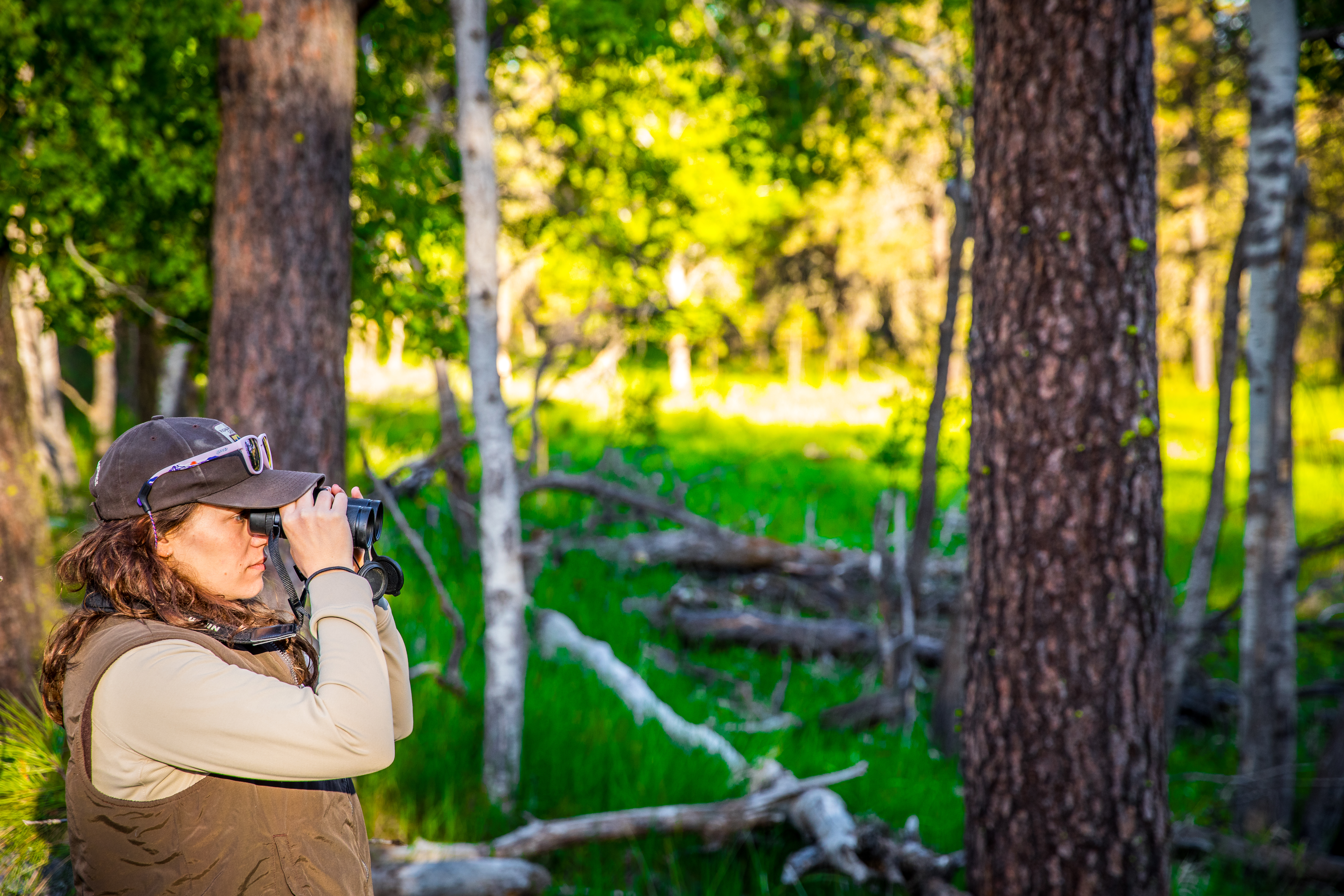 Turnbull NWR - Waterfowl Surveys | FWS.gov