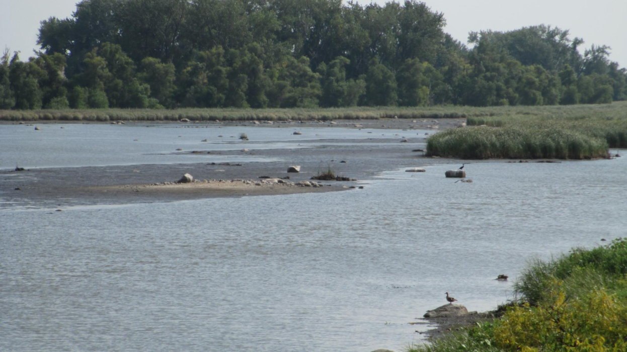 Mudflat at East Pool | FWS.gov