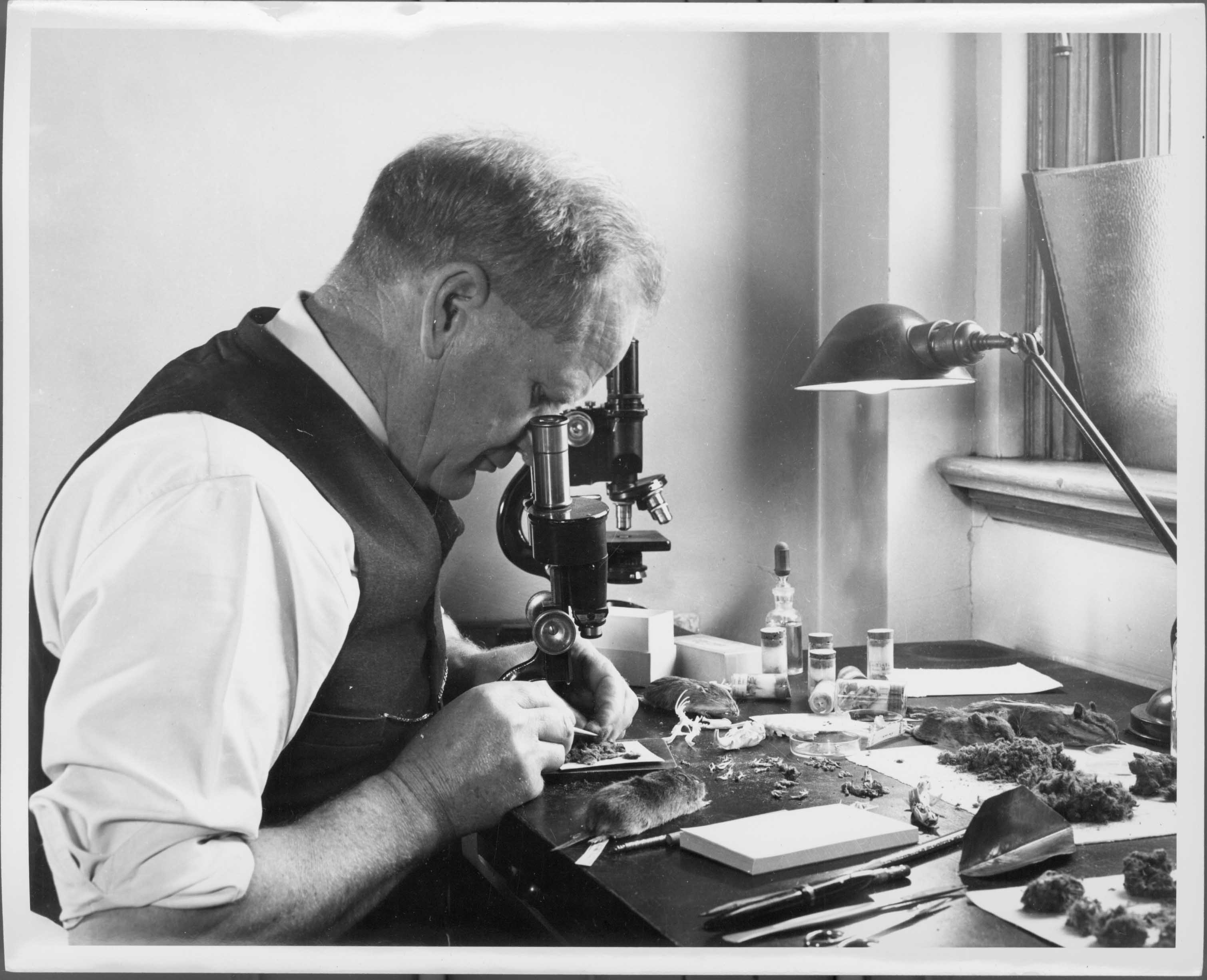Charles C. Sperry of the Denver Wildlife Research Laboratory at Work in ...