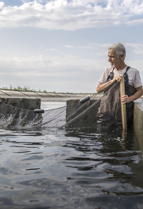 Gavins Point National Fish Hatchery | U.S. Fish & Wildlife Service