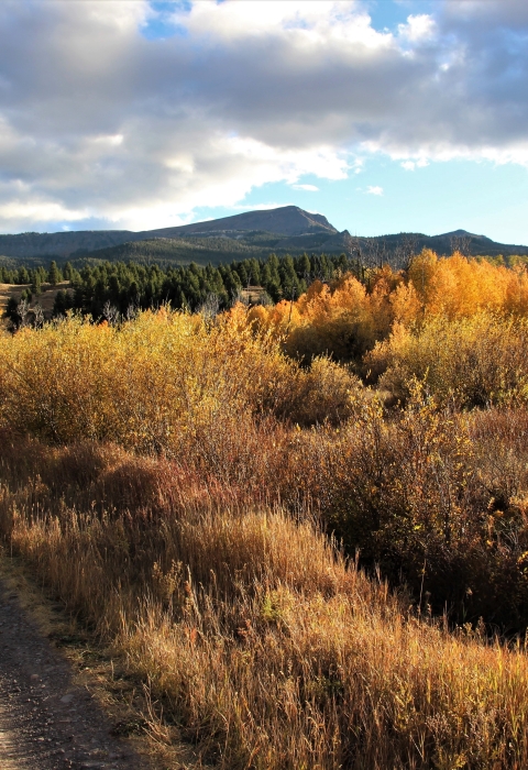 Red Rock Lakes National Wildlife Refuge | U.S. Fish & Wildlife Service