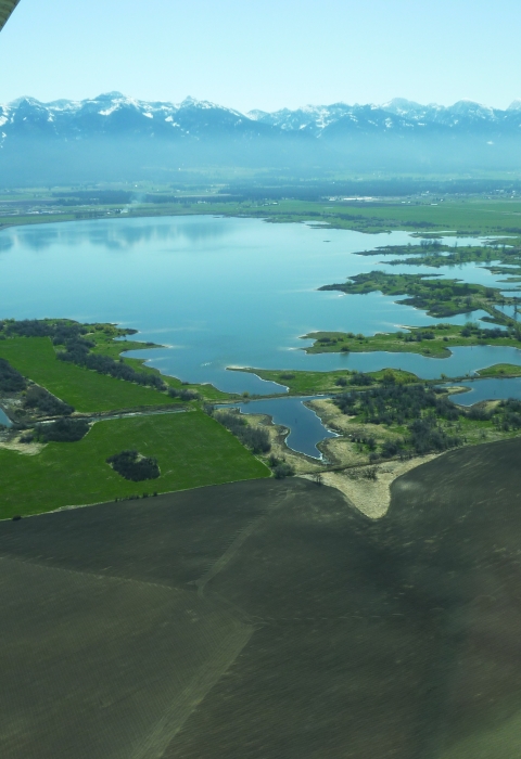 Pablo National Wildlife Refuge | U.S. Fish & Wildlife Service
