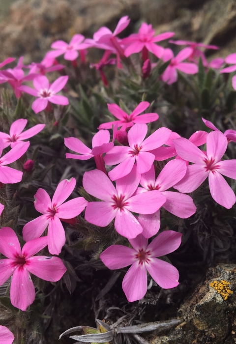 Pacific Southwest Region Field Office Jurisdictional Maps | U.S. Fish ...