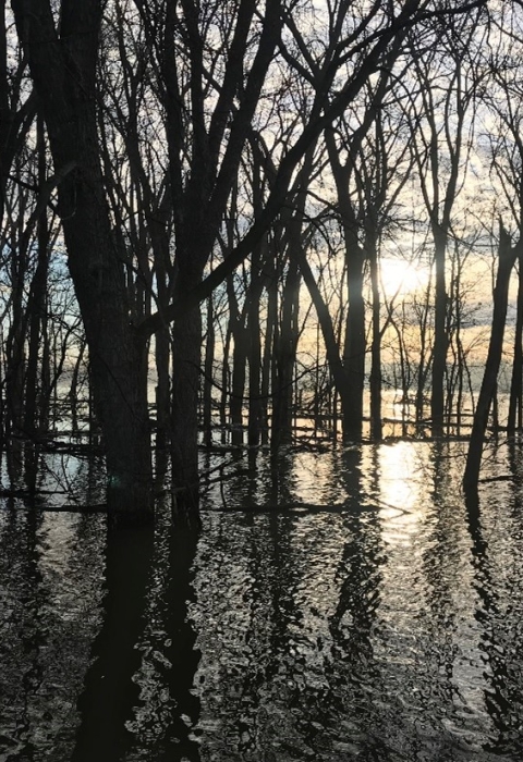 The March Equinox | U.S. Fish & Wildlife Service