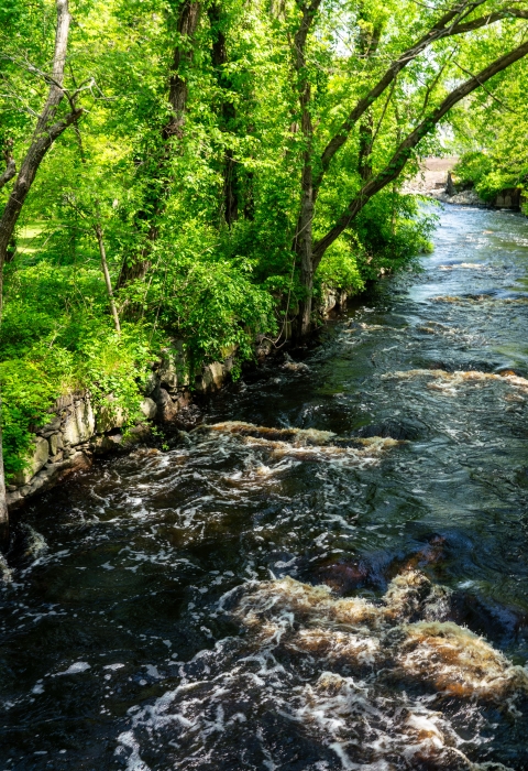 The rewards of restoring a river | U.S. Fish & Wildlife Service