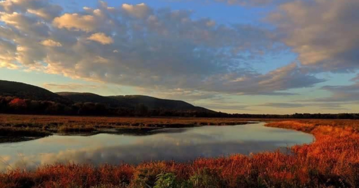 Wallkill River National Wildlife Refuge | U.S. Fish & Wildlife Service