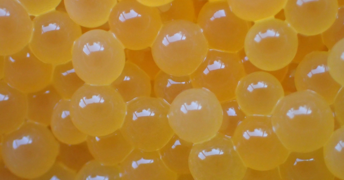 brown trout eggs