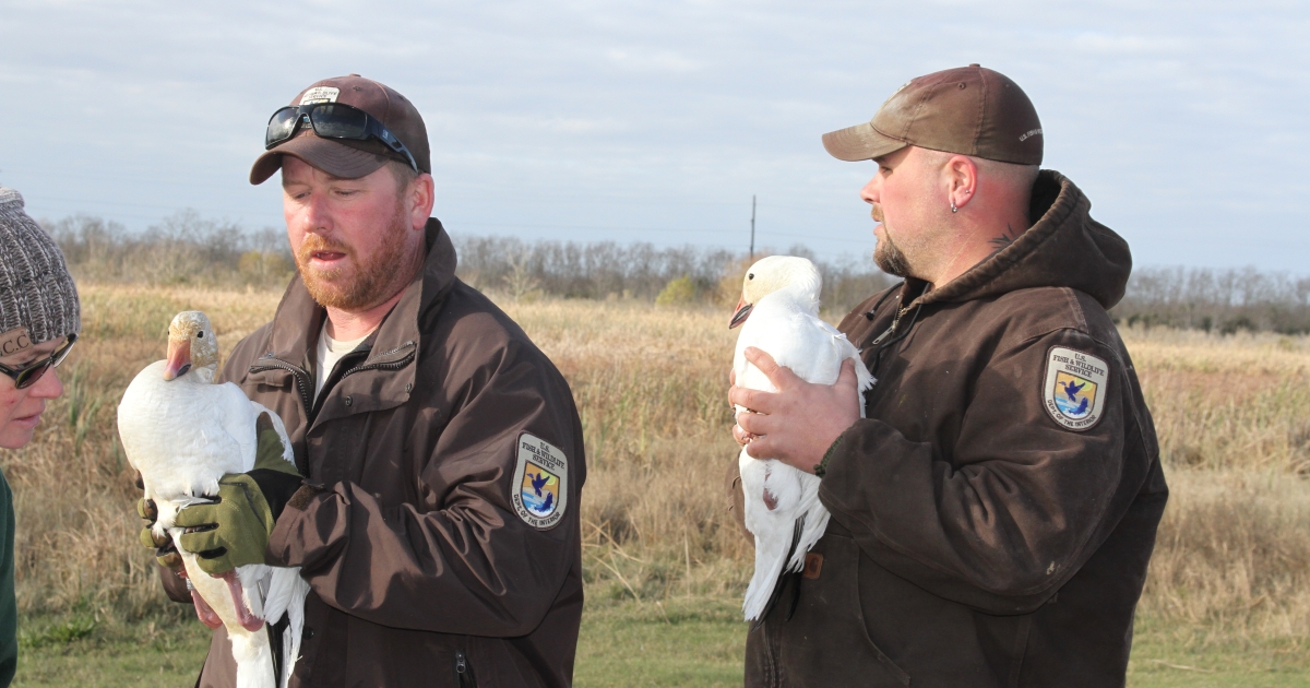 Cameron Prairie National Wildlife Refuge | U.S. Fish & Wildlife Service