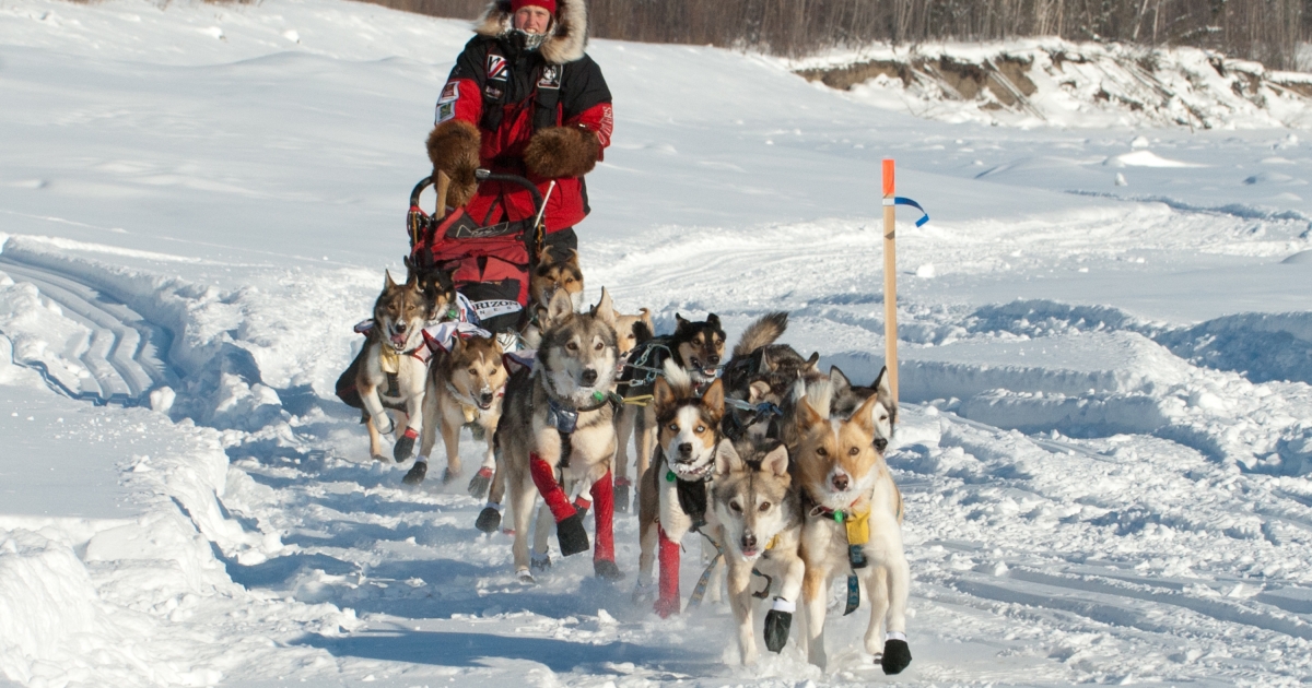 Dog sledding | U.S. Fish & Wildlife Service