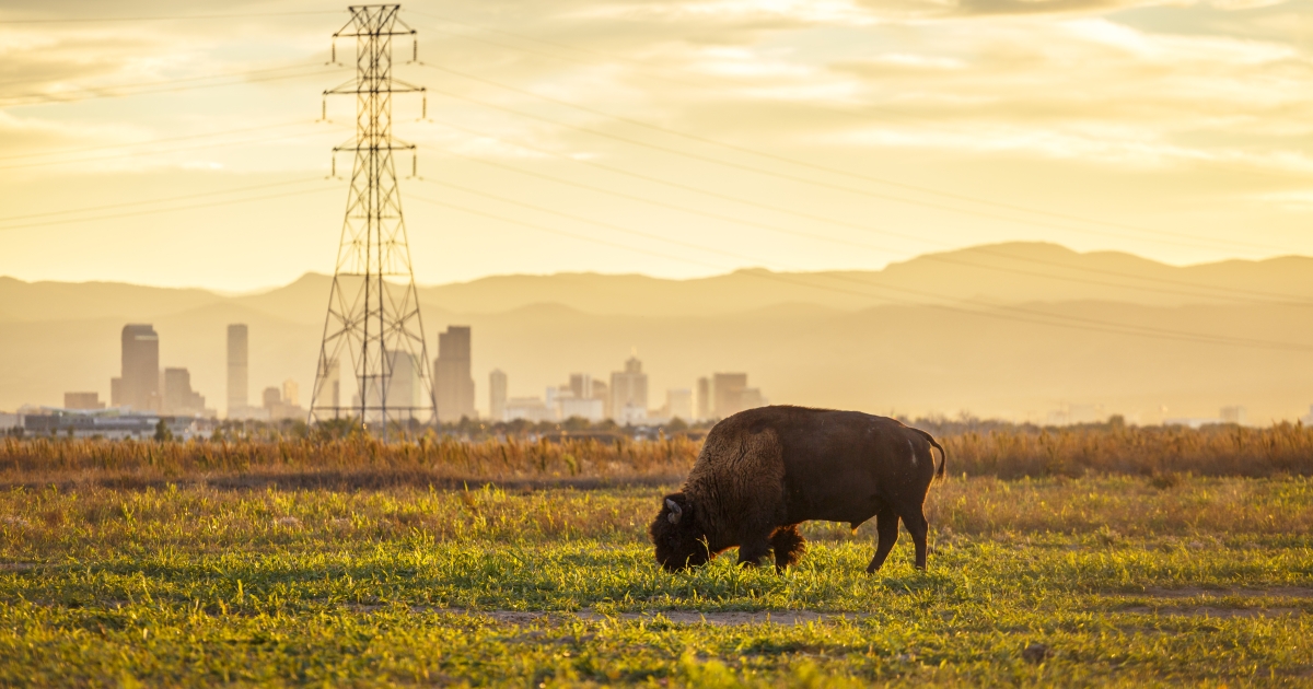 Comprehensive Conservation Plans | U.S. Fish & Wildlife Service