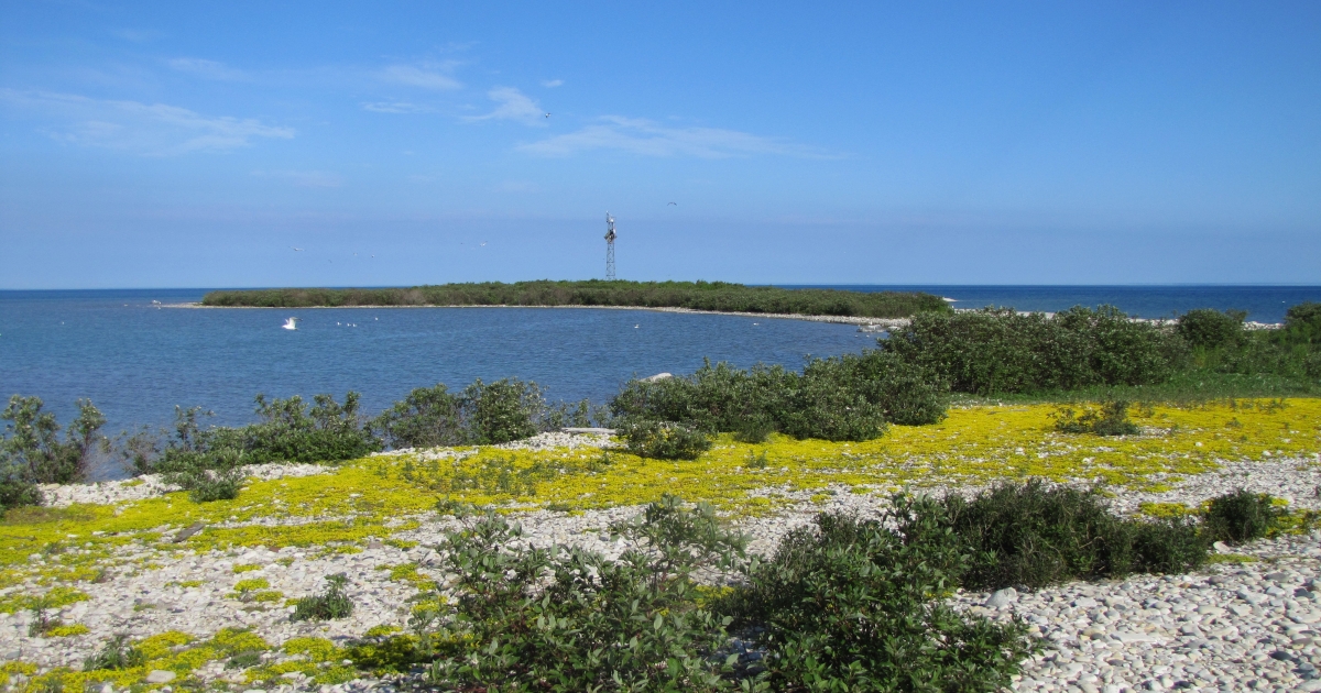 Michigan Islands National Wildlife Refuge | U.S. Fish & Wildlife Service