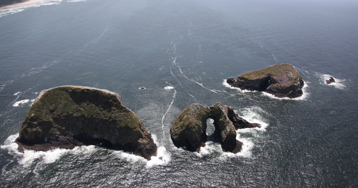 Three Arch Rocks National Wildlife Refuge | U.S. Fish & Wildlife Service