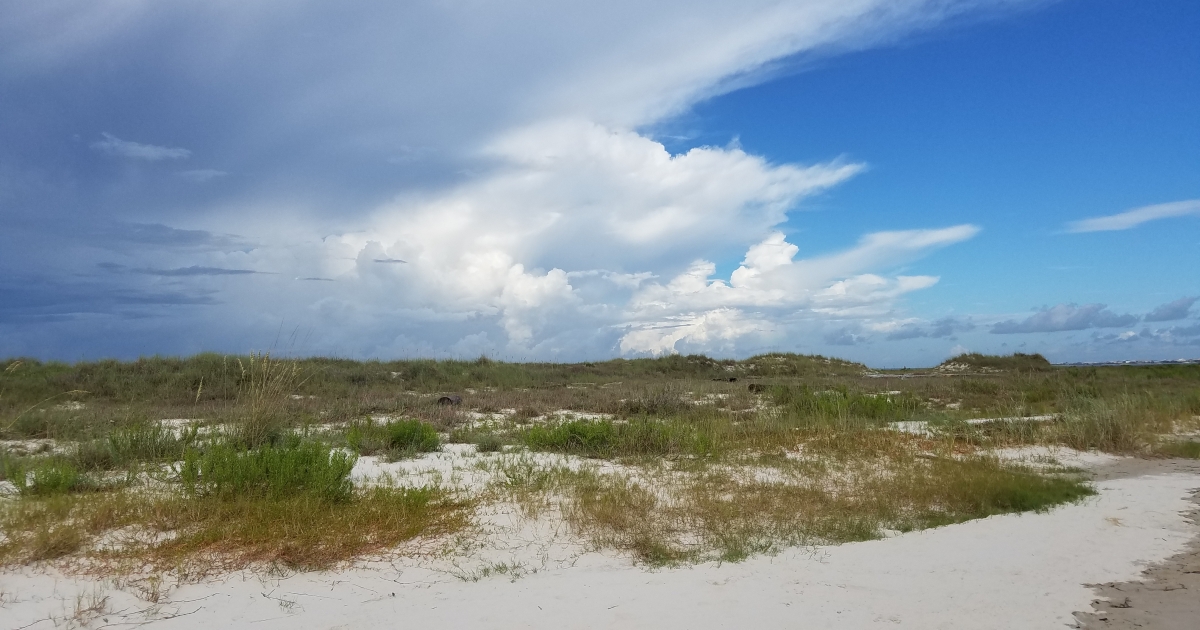 Southeast Regional Director’s Honor Awards | U.S. Fish & Wildlife Service