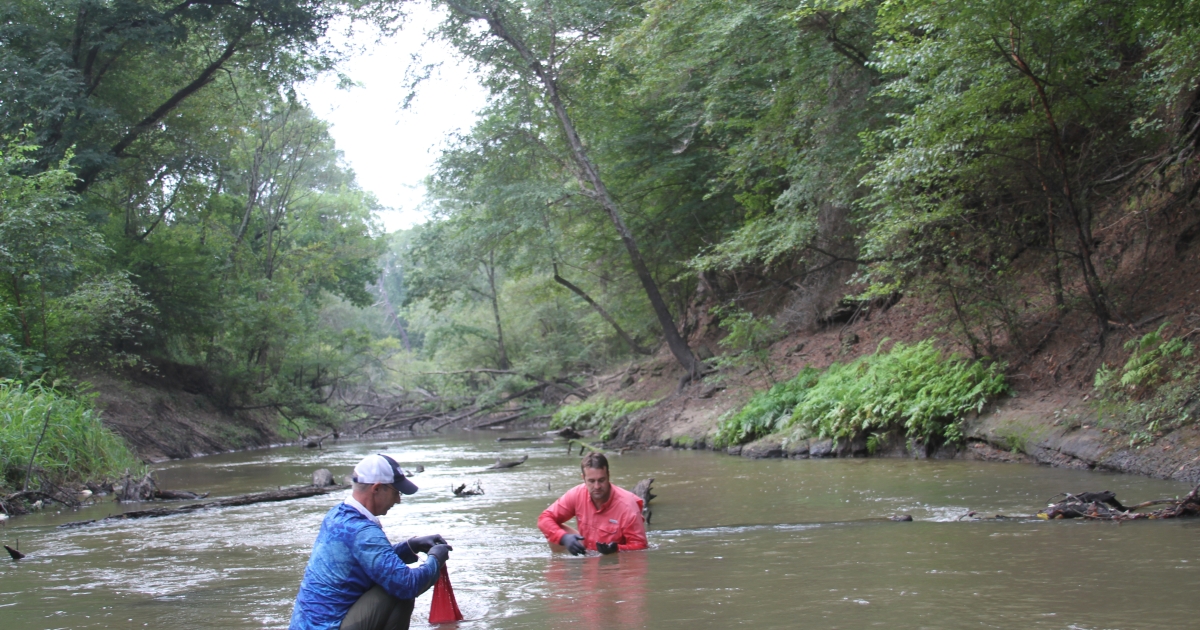 Proposed critical habitat for Louisiana pigtoe and Texas heelsplitter ...