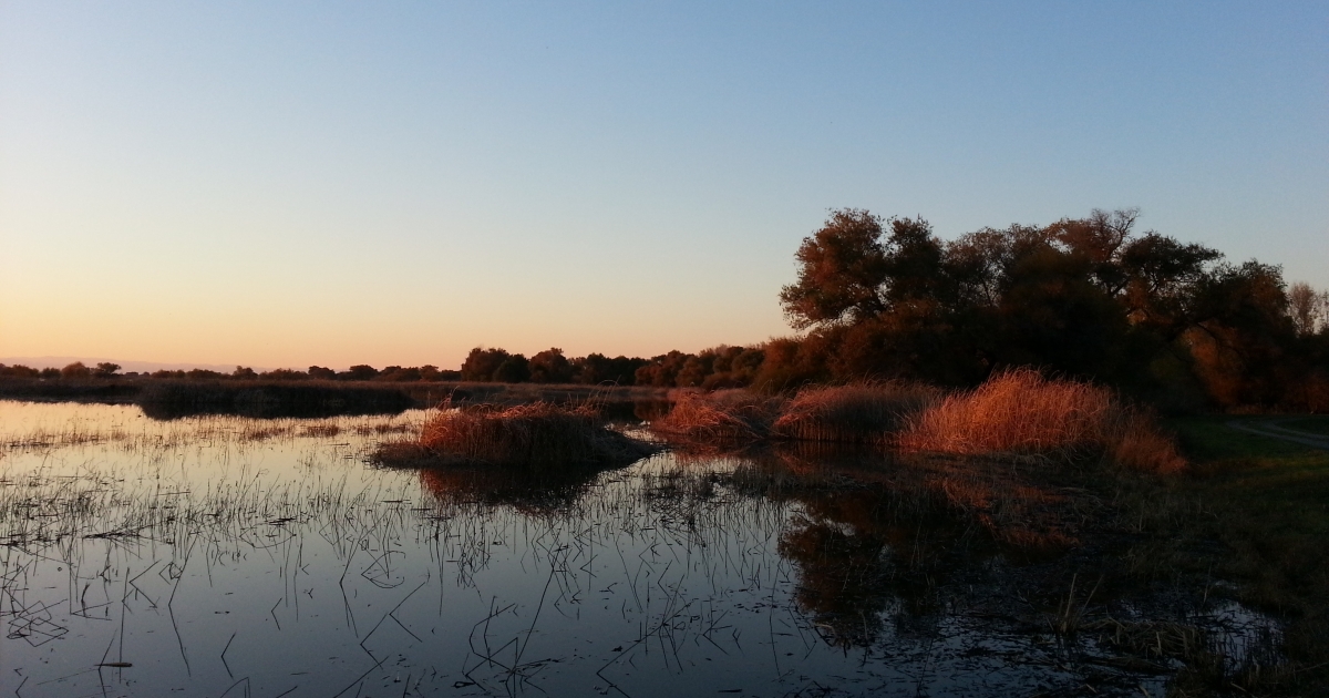 Tittabawassee River Eagle Ridge Nature Area Restoration Project | U.S ...