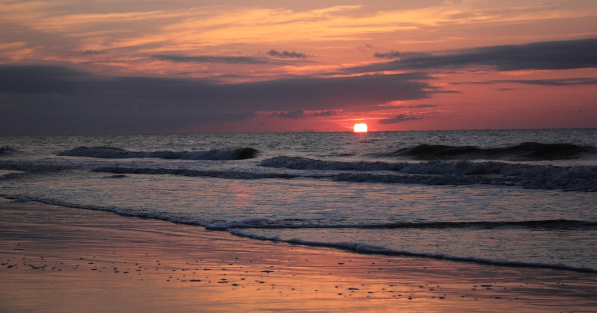 Blackbeard Island National Wildlife Refuge | U.S. Fish & Wildlife Service