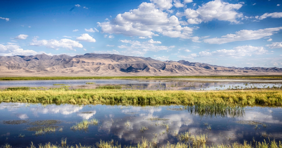 Stillwater National Wildlife Refuge | U.S. Fish & Wildlife Service