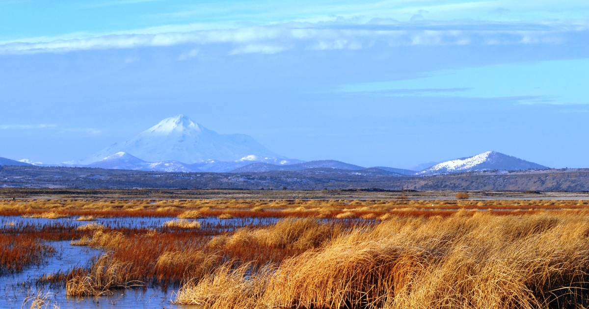 Tule Lake National Wildlife Refuge | U.S. Fish & Wildlife Service