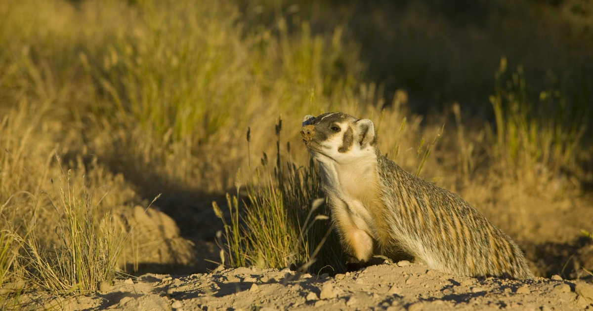 Deer Flat National Wildlife Refuge | U.S. Fish & Wildlife Service