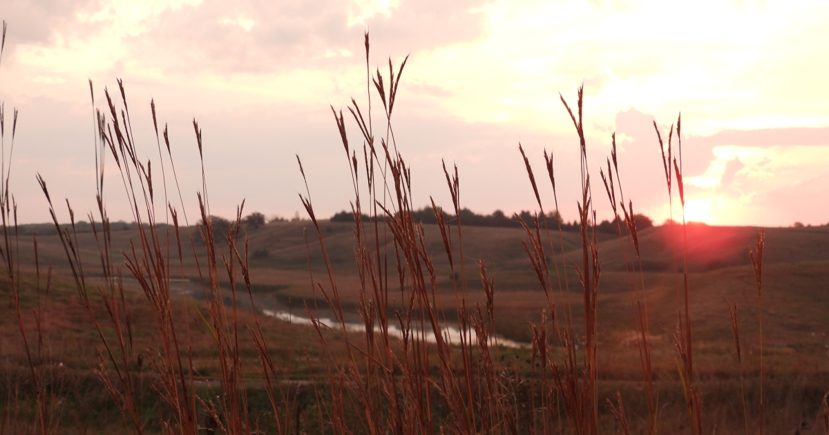 Windom Wetland Management District | Visit Us | U.S. Fish & Wildlife ...