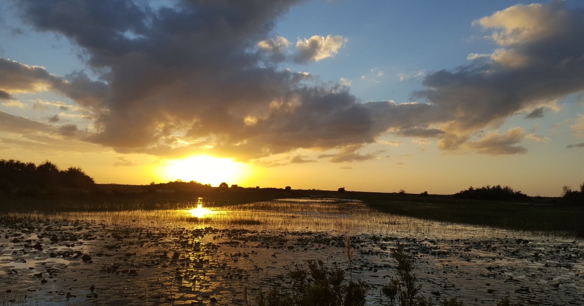 Fly fishing near Boca Raton? | Dedicated To The Smallest Of Skiffs