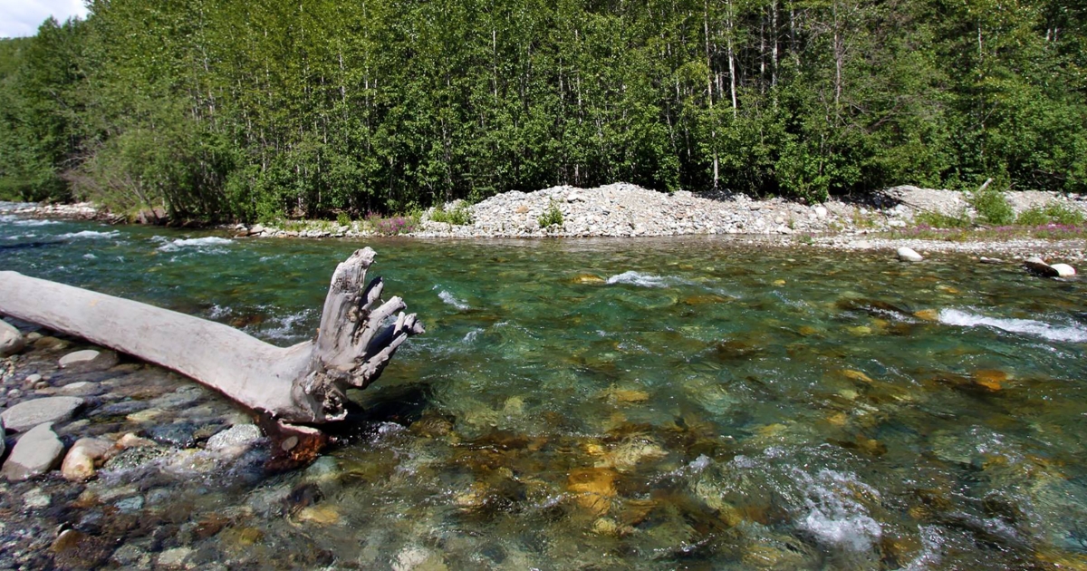 Live Stream Temperature Monitoring | U.S. Fish & Wildlife Service