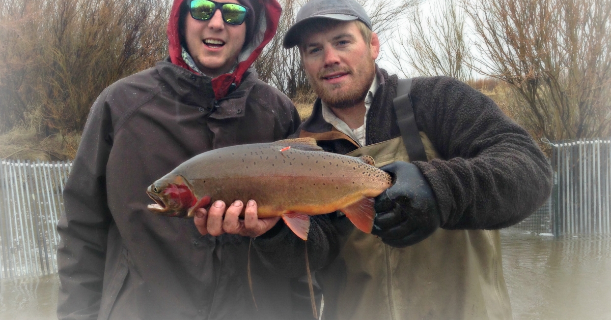 Montana Fish and Wildlife Conservation Office | U.S. Fish & Wildlife ...