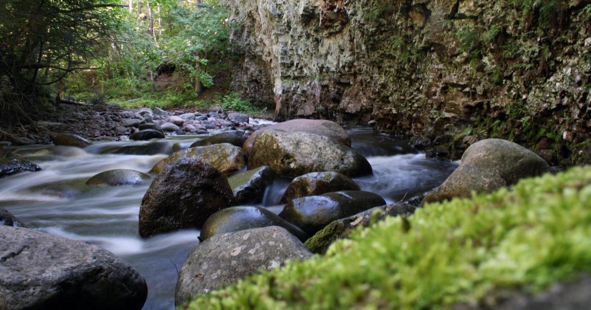 Water Resource Development | U.S. Fish & Wildlife Service