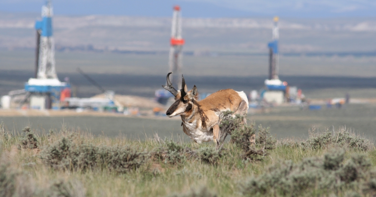 Conservation Planning Assistance | U.S. Fish & Wildlife Service