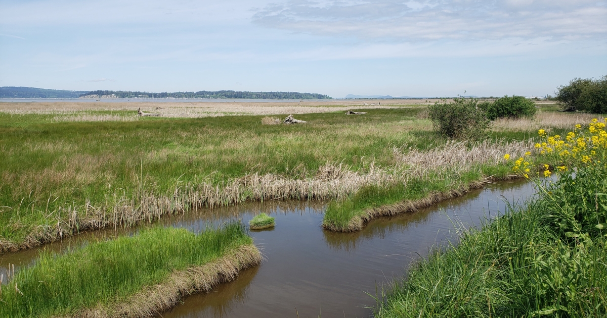 National Coastal Wetlands Conservation | U.S. Fish & Wildlife Service