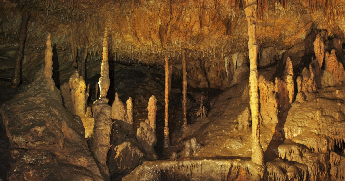 Terrestrial Karst Invertebrates | U.S. Fish & Wildlife Service