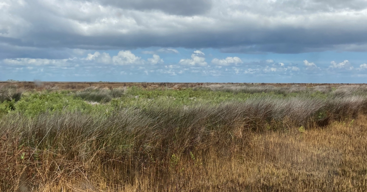Cedar Island National Wildlife Refuge | U.S. Fish & Wildlife Service