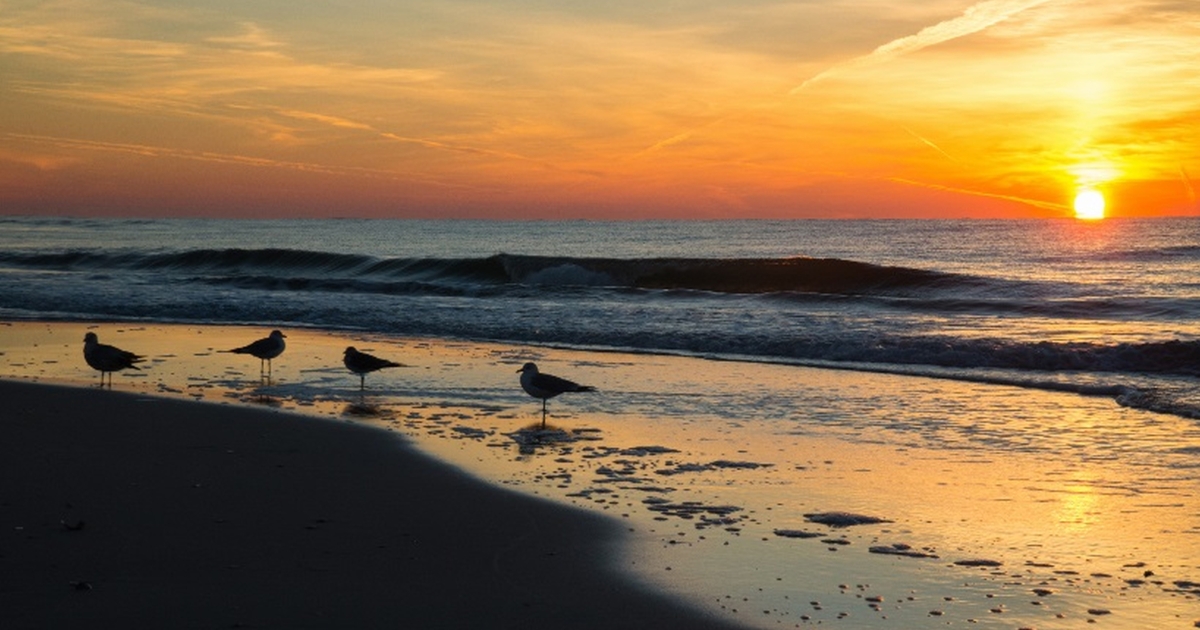 Bon Secour National Wildlife Refuge | U.S. Fish & Wildlife Service