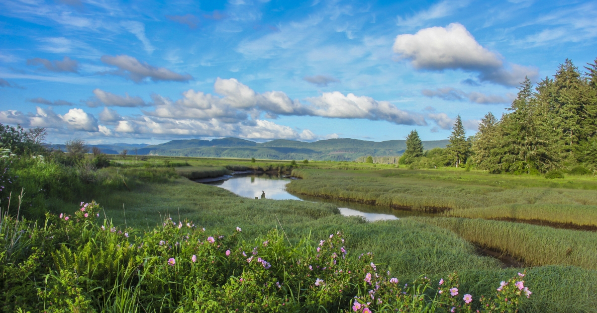 National Wildlife Refuge System gets new chief in Pacific Region | U.S ...