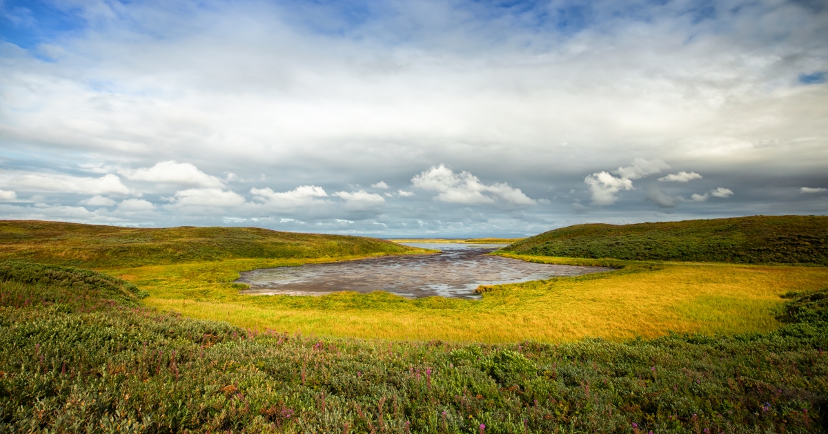 National Wetlands Inventory | U.S. Fish & Wildlife Service