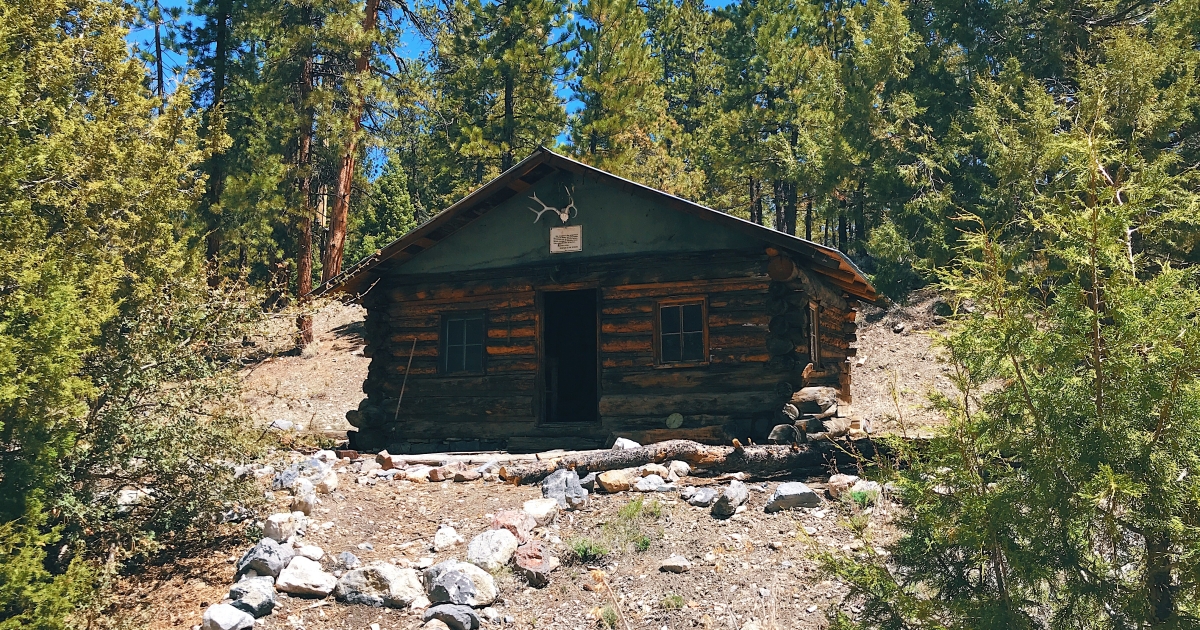 Discover the Hidden Forest Cabin | U.S. Fish & Wildlife Service