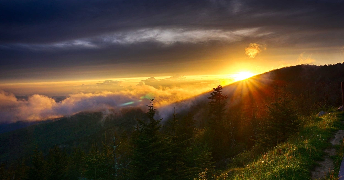 southeastern us region