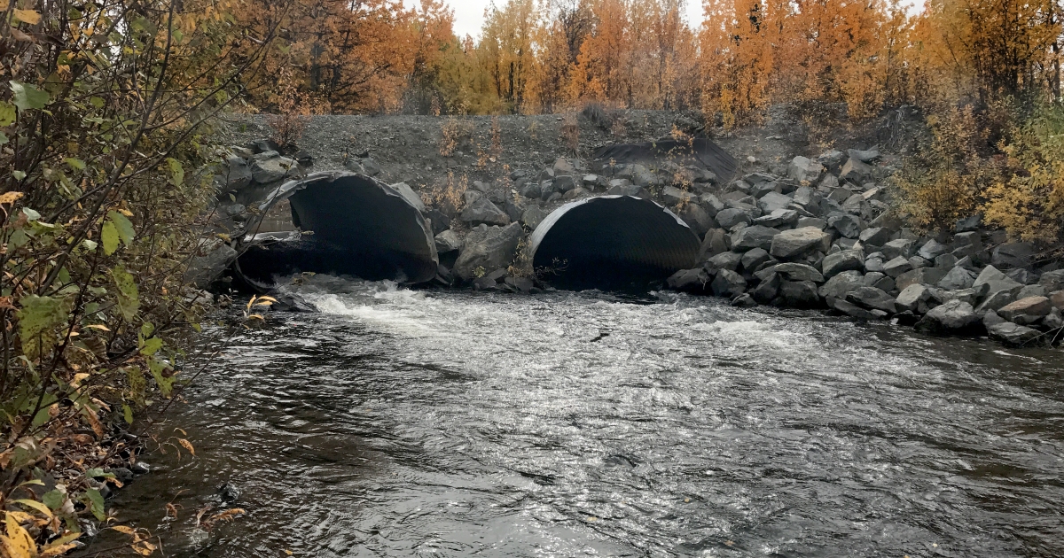 Building Bridges: Fish Migration Brings Partners Together, Benefits ...