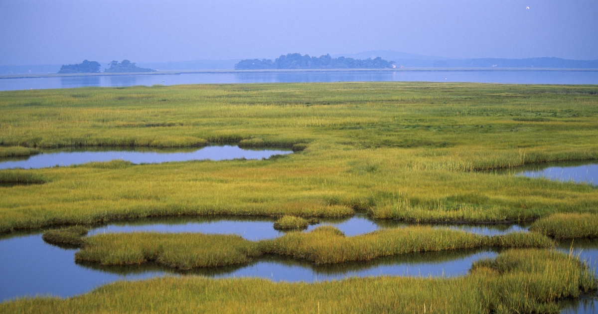 Clean Vessel Act (CVA) Program | U.S. Fish & Wildlife Service