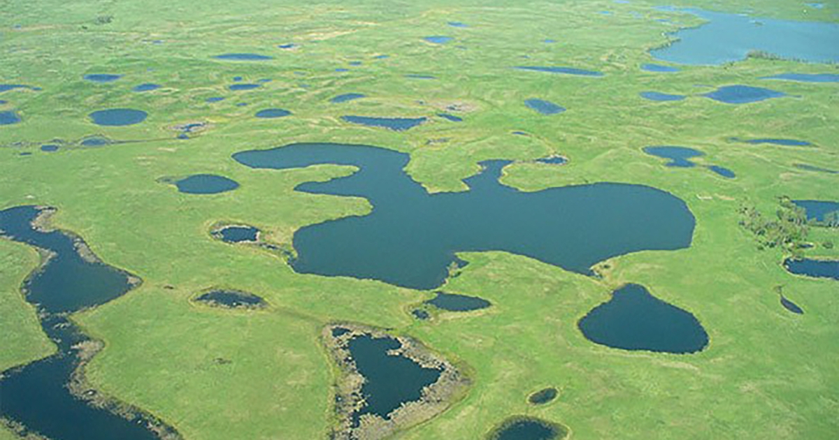 Prairie Potholes | U.S. Fish & Wildlife Service