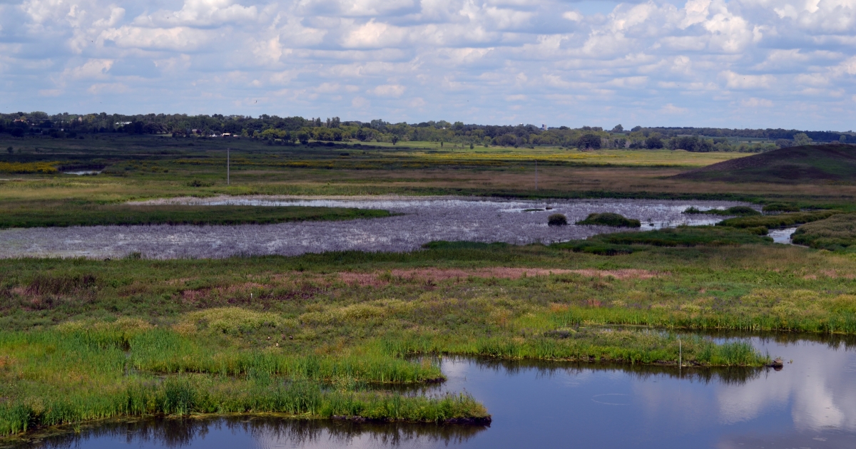 National award comes home to the midwest | U.S. Fish & Wildlife Service