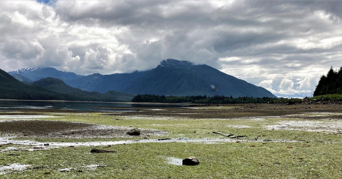 Crabby About Invasive Green Crabs | U.S. Fish & Wildlife Service